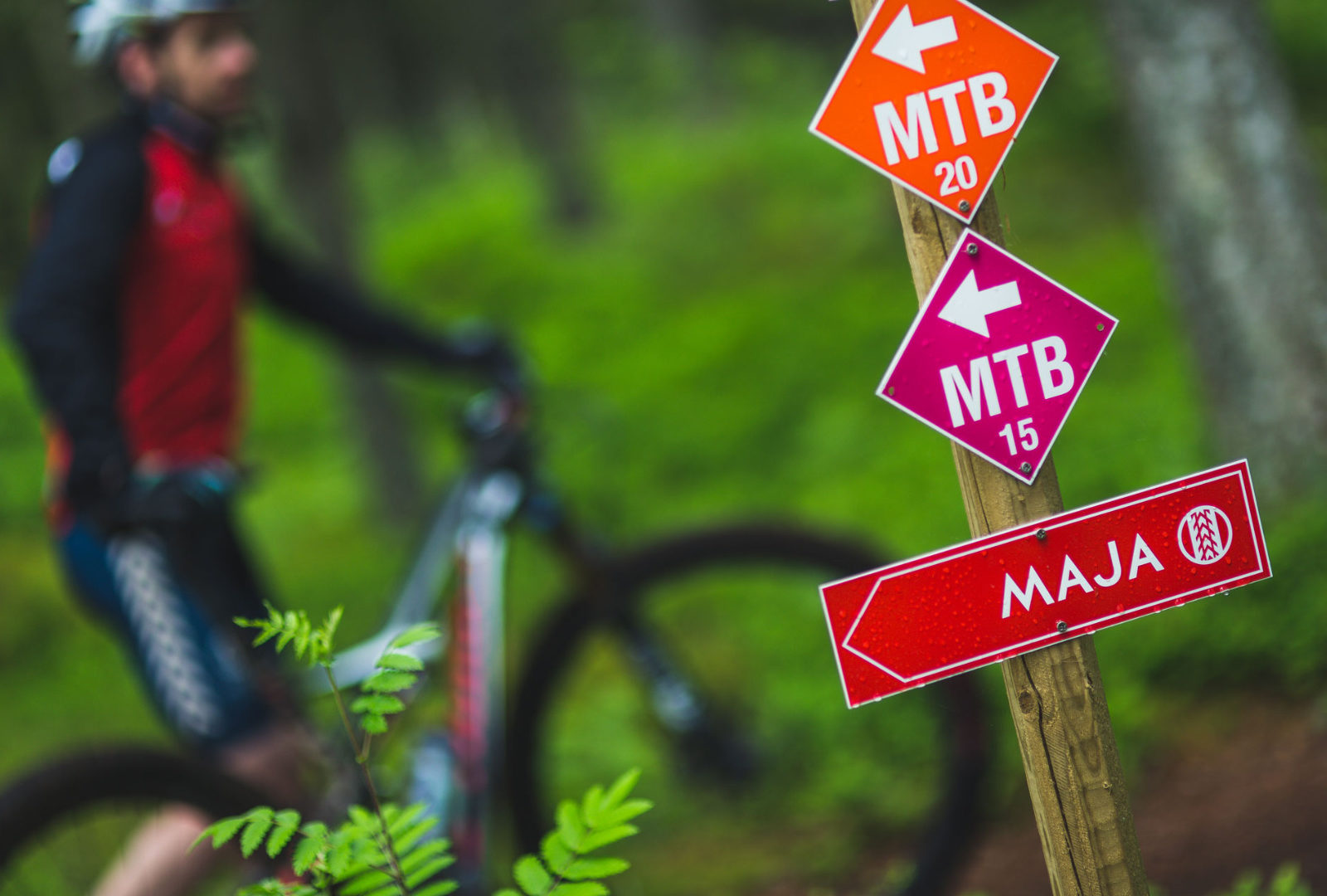Mountainbikepaket i Högbo - Sweden by Bike